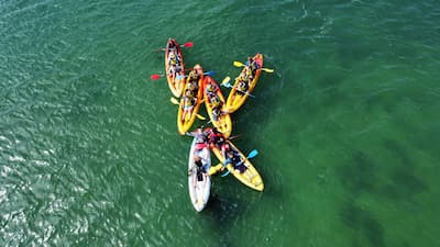 Water Family – Du flocon à la vague – Coopeau